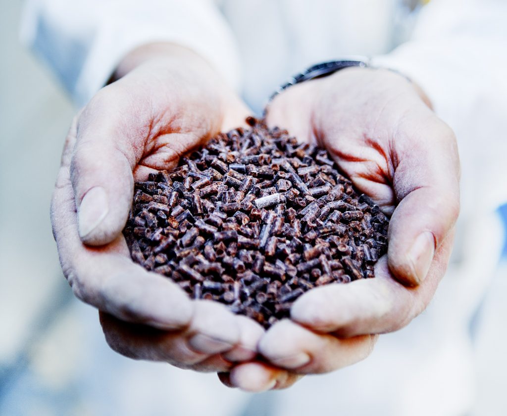 sustainable-feed - FeedKind®